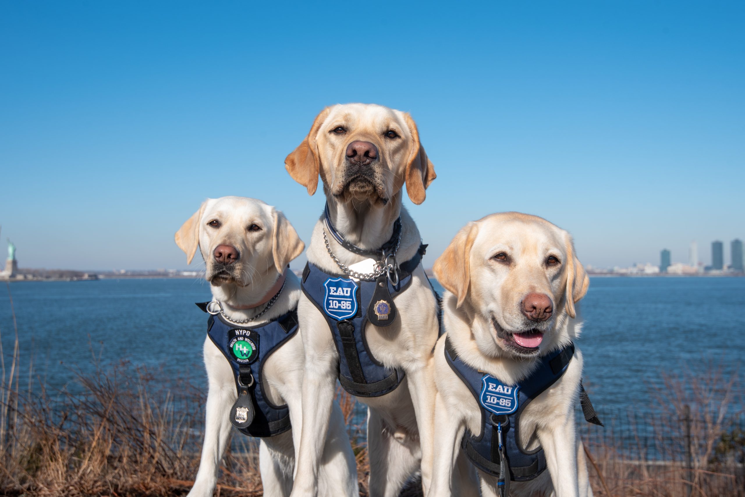 Home - New York City Police Foundation